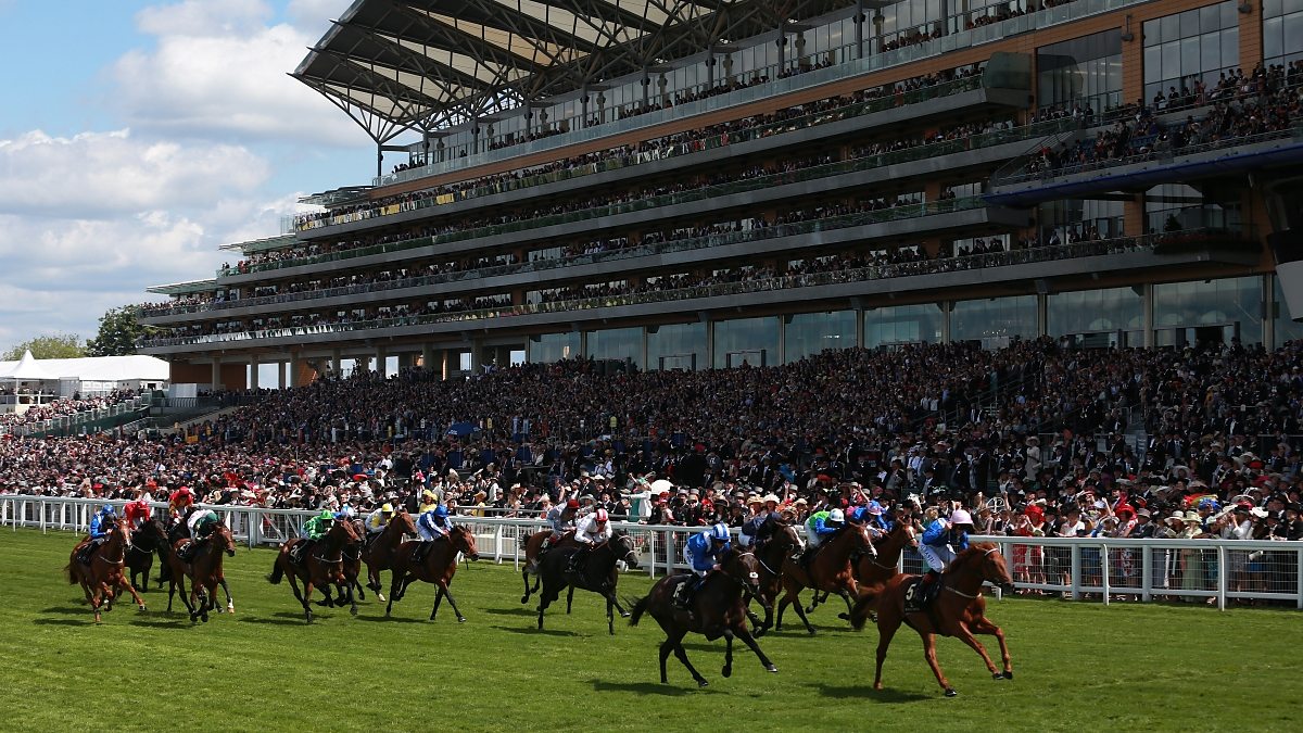 BBC Radio Berkshire - Andrew Peach, Reading FC Chief Exec Nigel Howe ...