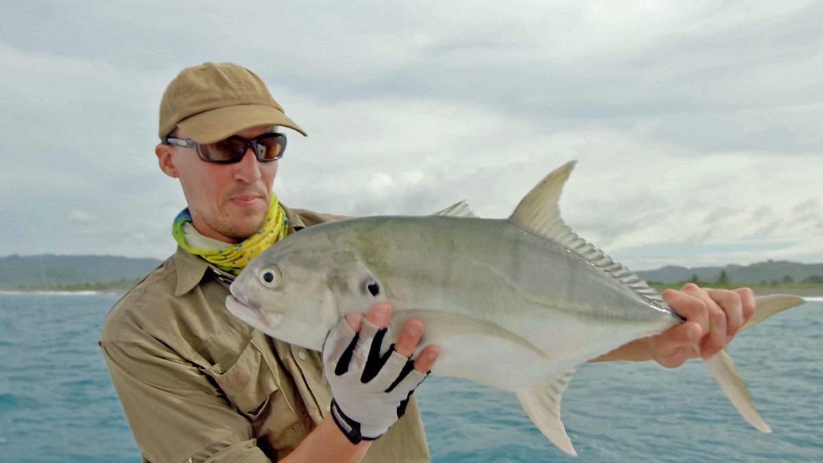 BBC Two - Earth's Wildest Waters: The Big Fish, Costa Rica, Meet the fish!