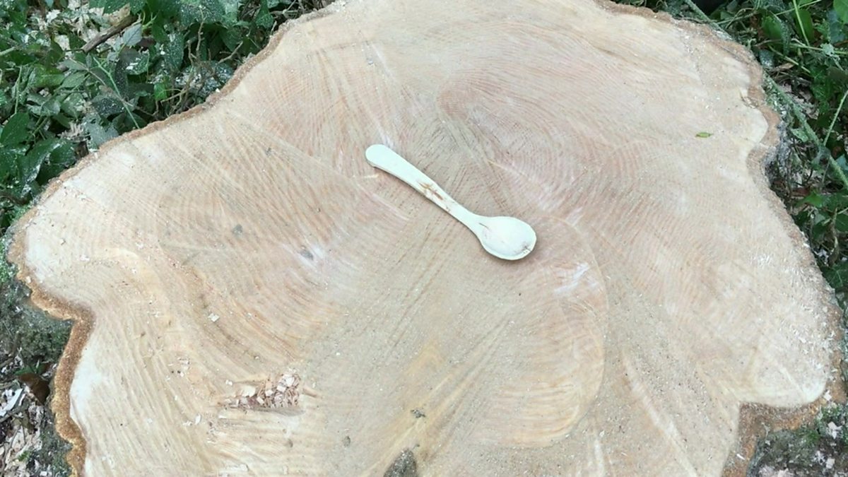 BBC Radio 4 - Today, 26/10/2015, How an ash tree is turned into a spoon