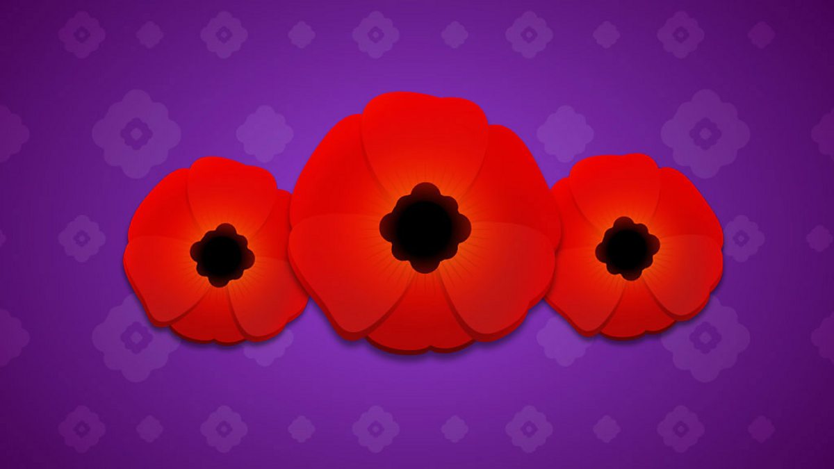 CBeebies Radio - Poppy's Day