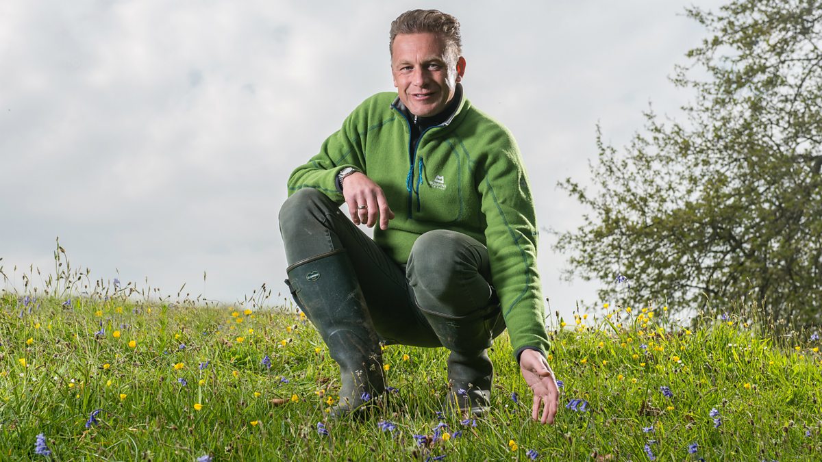 BBC Radio Berkshire - Matt Allwright's Saturday Solution, Chris Packham ...
