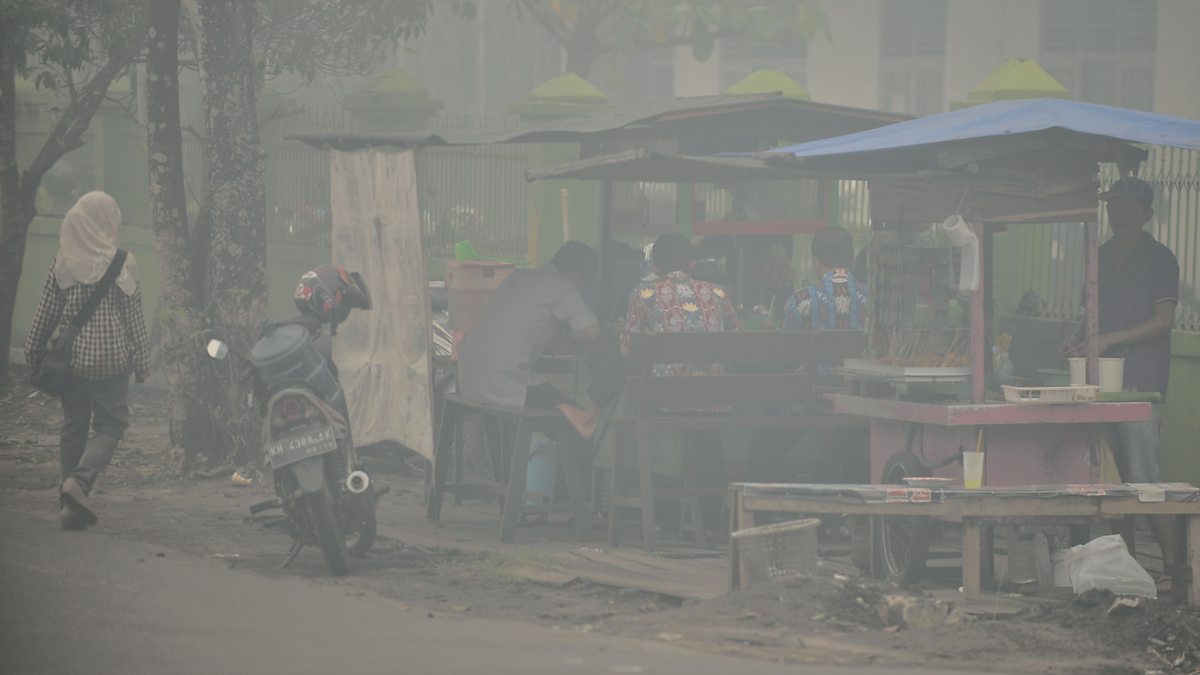 BBC World Service - Science In Action, Worst SE Asian Haze for 20 Years