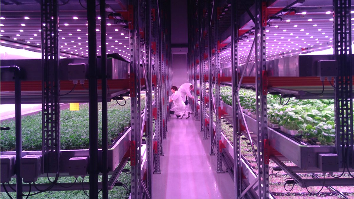 BBC World Service - The Food Chain, Food on Mars!, Growing Food without ...