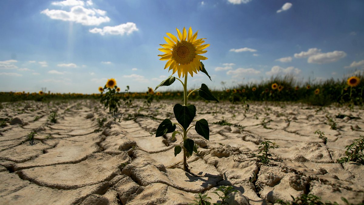 BBC World Service - The Real Story, Adapting to a Warmer World