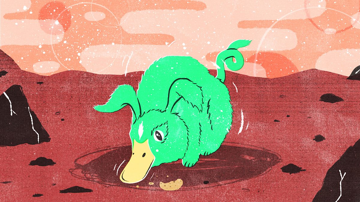 BBC Radio 4 - Would You Eat an Alien?, Sociable Aliens