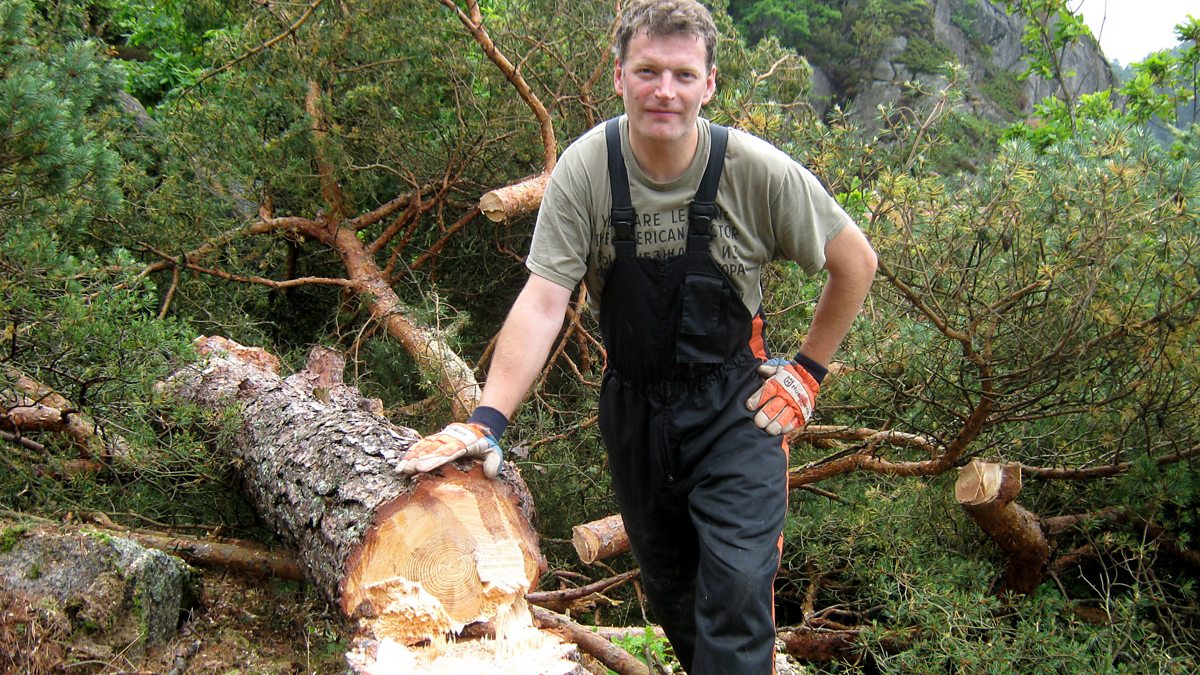 BBC World Service - Outlook, Norway's celebrity wood chopper