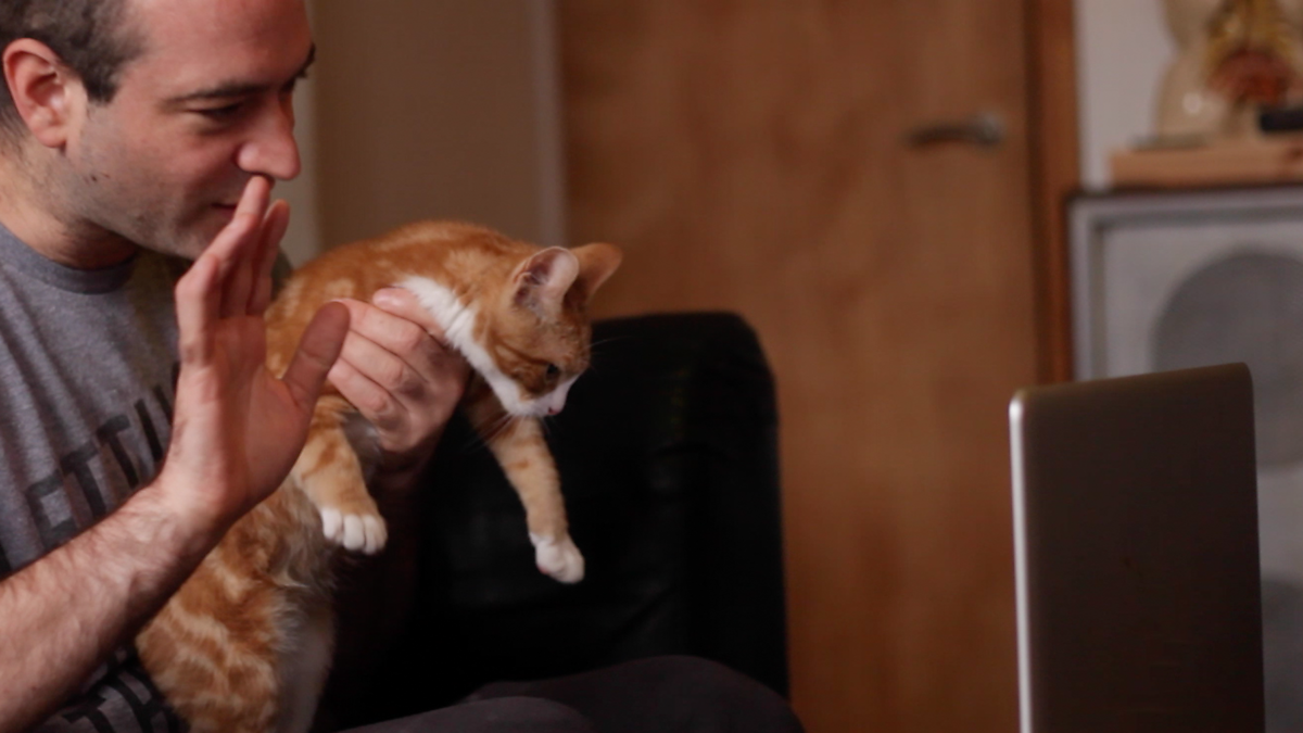 BBC Radio 4 - The Human Zoo, Series 7, The Lives of Things, Why we ...