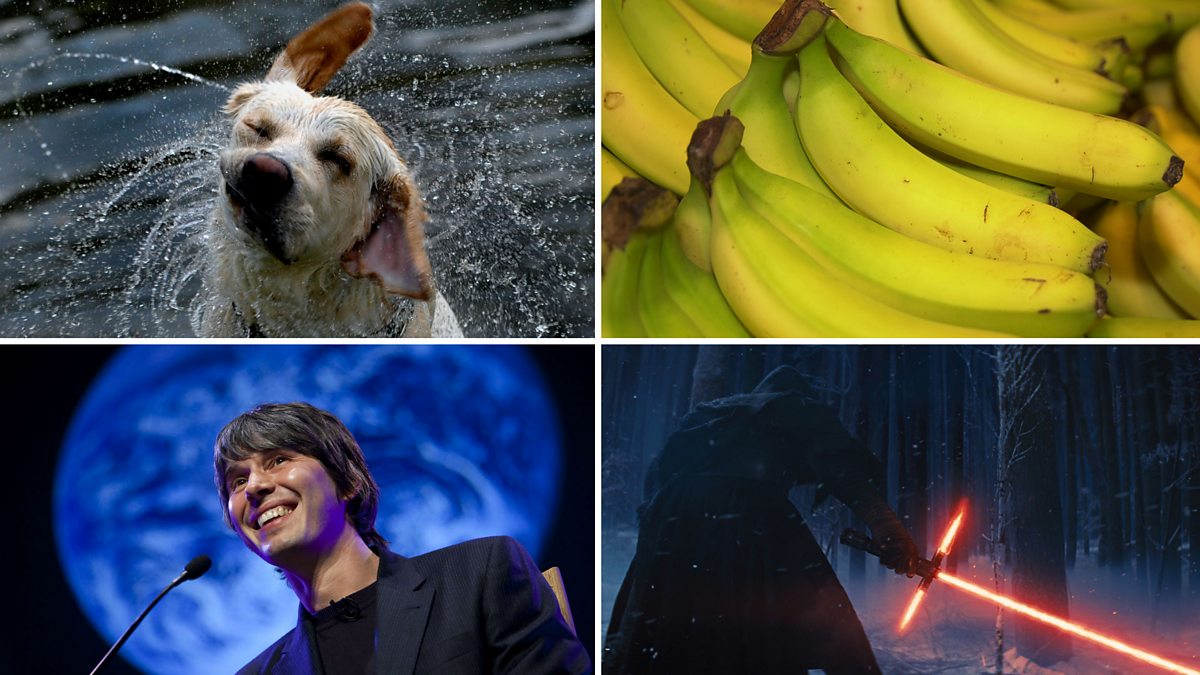 BBC - BBC Radio Moments 2015 - Some BBC Radio science highlights from 2015