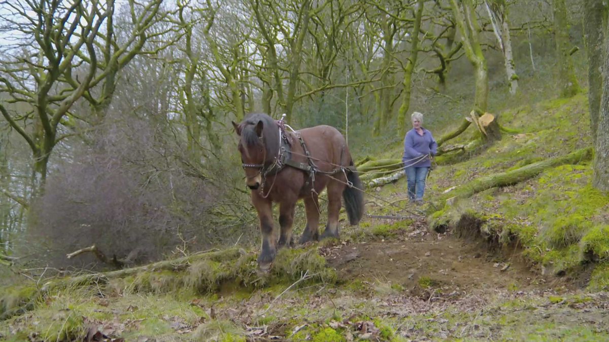 BBC One - The Brecon Beacons with Iolo Williams, Series 1, Winter, Kate ...