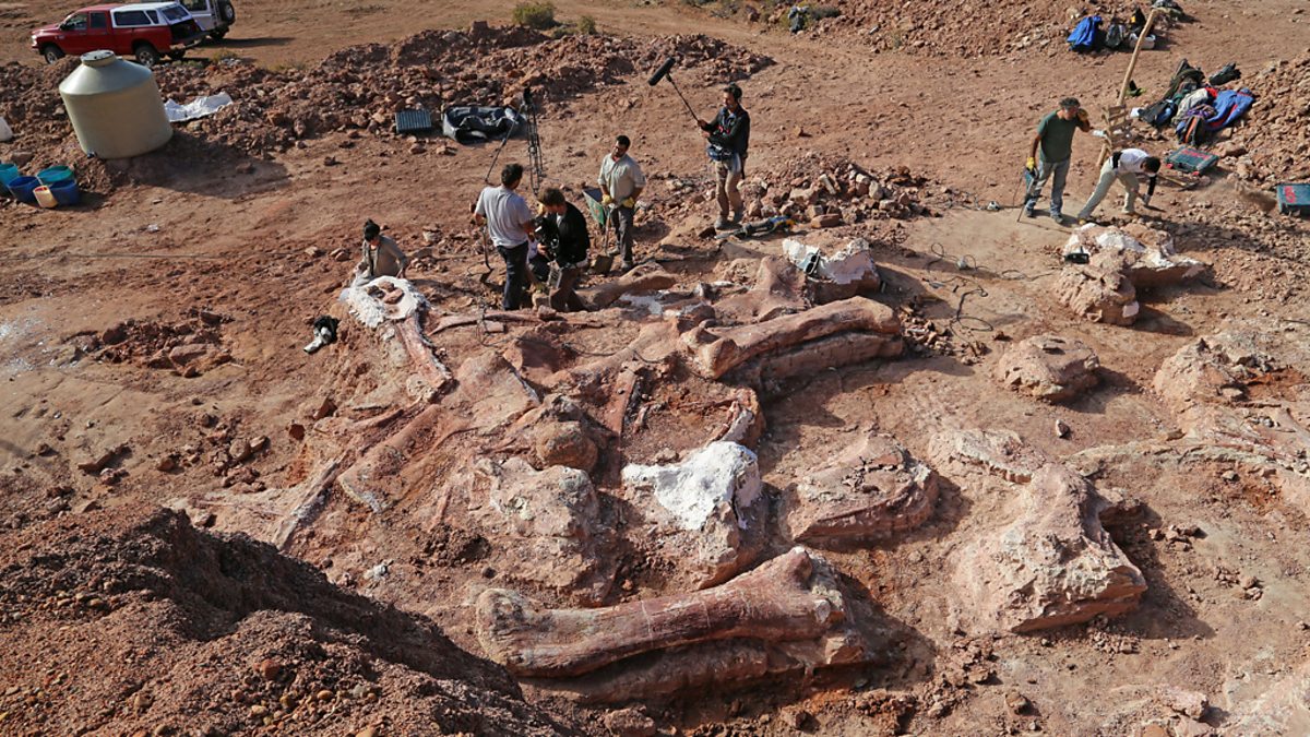 BBC One - Filming fossil bones at the dig site - Attenborough and the ...
