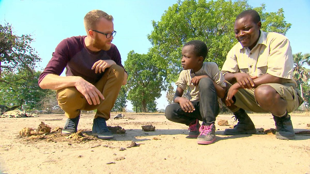 BBC Blogs - CBeebies Grown-ups - Rory in the Danger zone!