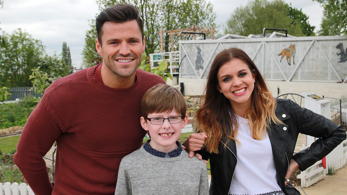 The Dengineers - Series 1: 8. Train Den - BBC iPlayer