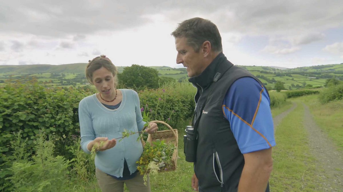 BBC One - The Brecon Beacons with Iolo Williams, Series 1, Summer ...