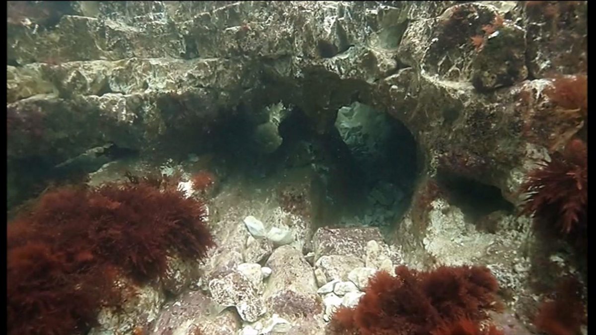 BBC Radio Norfolk - Nick Conrad, The rental sector, Chalk reef given ...