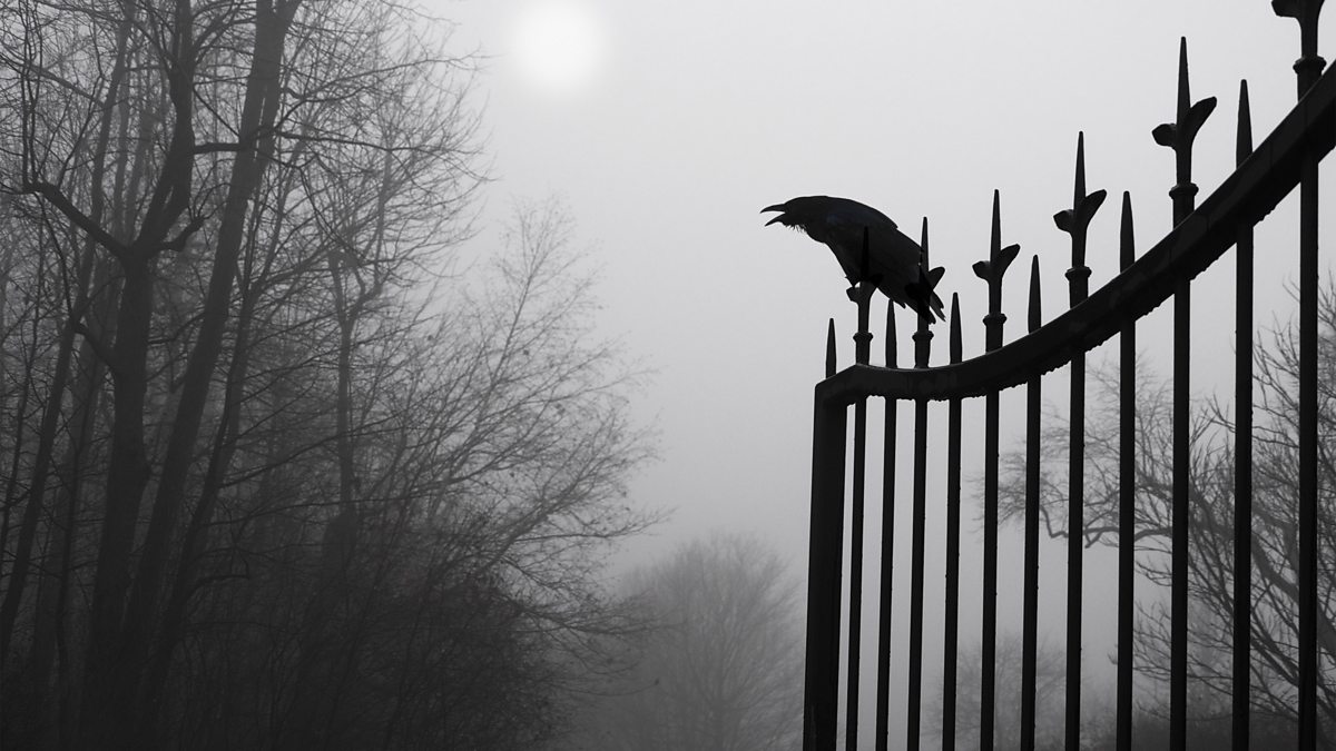 BBC Radio 4 - Radio 4 in Four, How to make death less scary