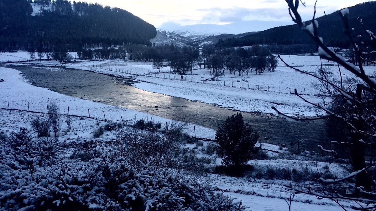 BBC Two - Winterwatch - T&Cs