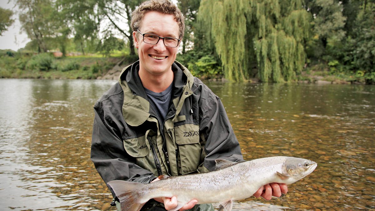 Salmon Fishing Season Wales at Hope Whited blog