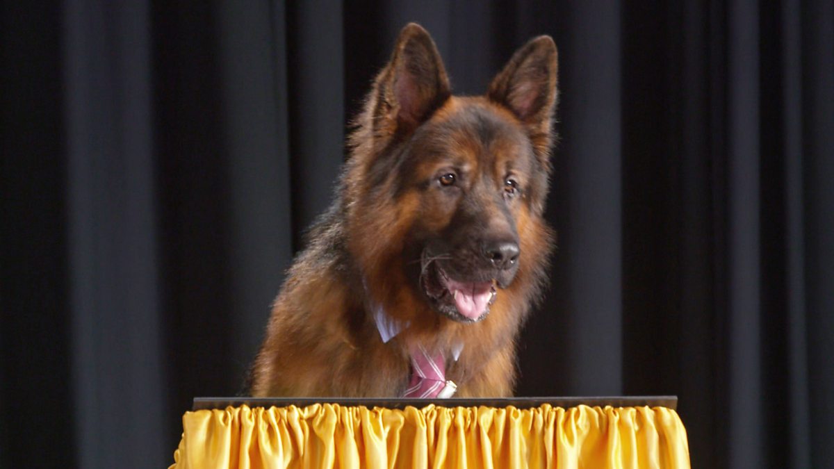 Class Dismissed - Series 1: 5. VIP - BBC iPlayer