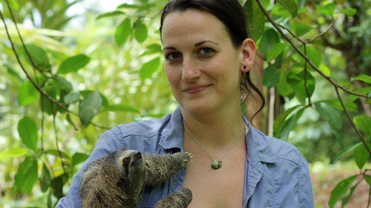 BBC One - Nature's Miracle Orphans - Sam Trull