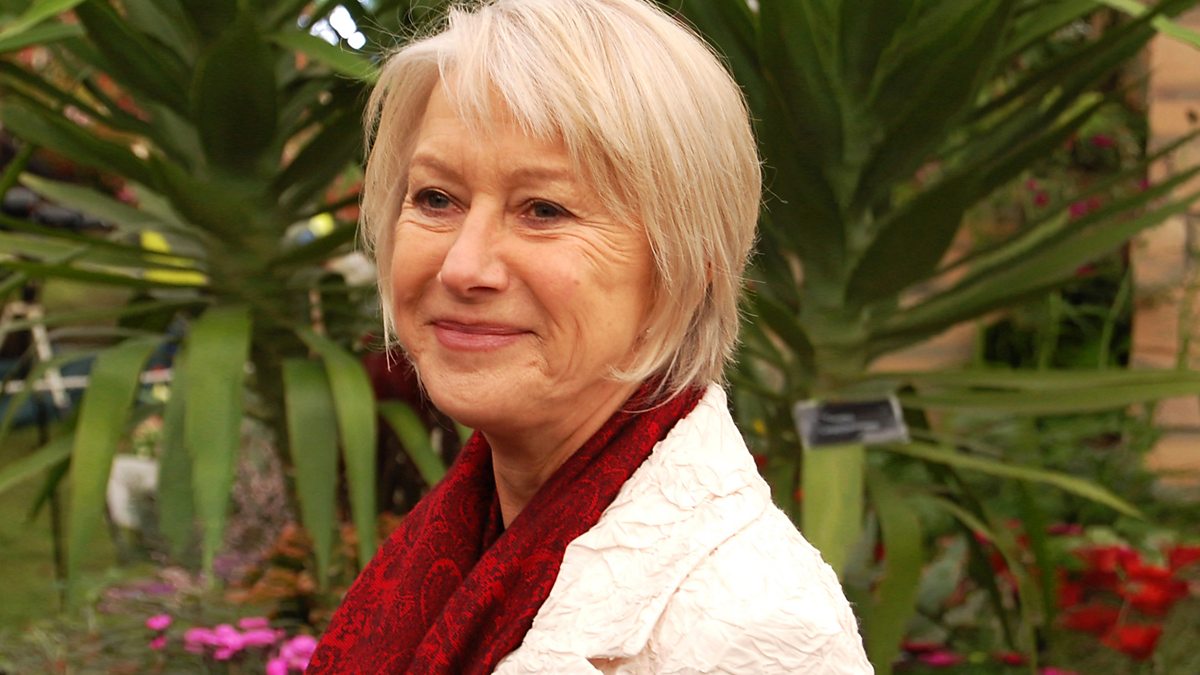 BBC Radio 4 - Woman's Hour, Helen Mirren; Dr Sarah Jarvis gives a Zika ...