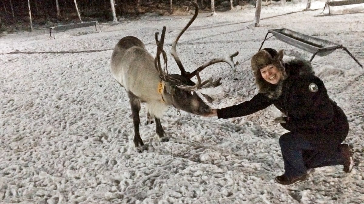 BBC Radio 4 - On Your Farm, Reindeer Farming in Sweden