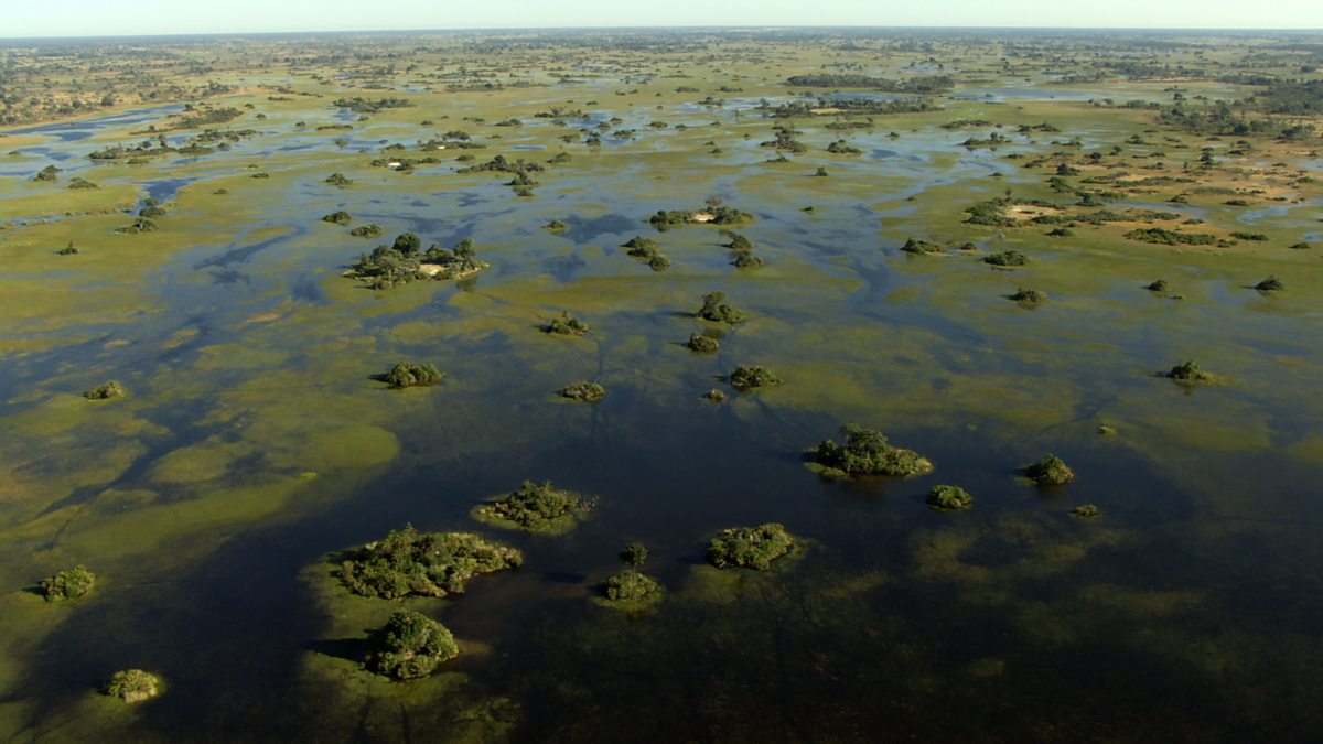 BBC Two - Earth's Greatest Spectacles - Islands: The kidneys of the ...