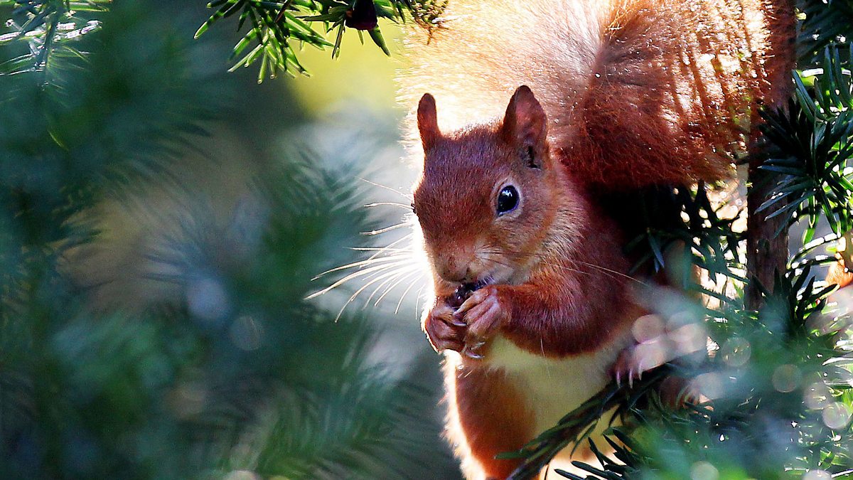 BBC World Service - The Fifth Floor, Fifi Haroon and the weird wild web