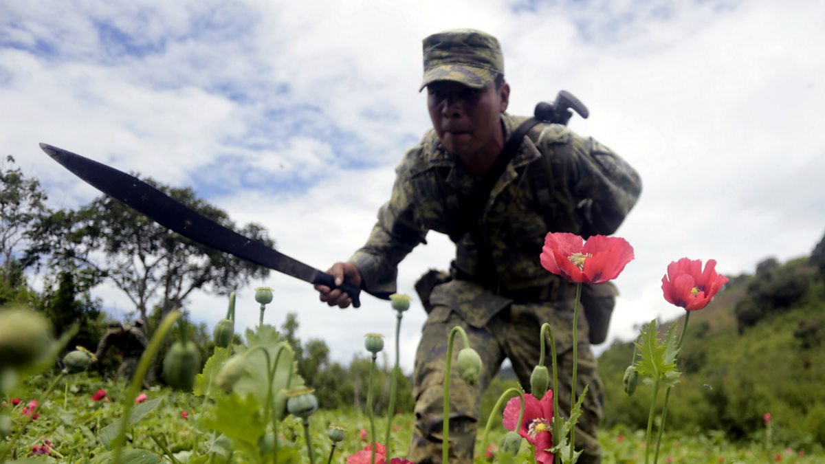 BBC World Service - Weekend, The drug cartels of Latin America
