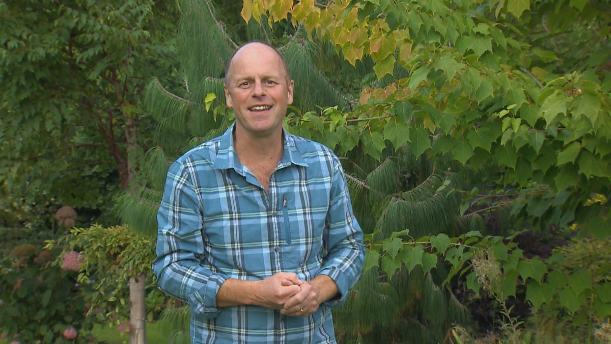 BBC Two - Gardeners' World, 2016, Episode 1, Joe chooses a tree