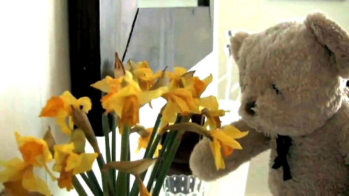 BBC Radio Wales - Good Morning Wales, 03/03/2016, Are we a nation of ...