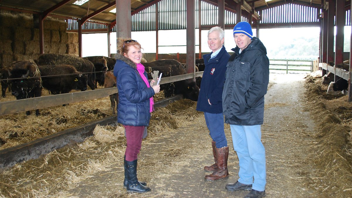 BBC Radio Wales - Country Focus, Organics, Bison and Green Energy, The ...