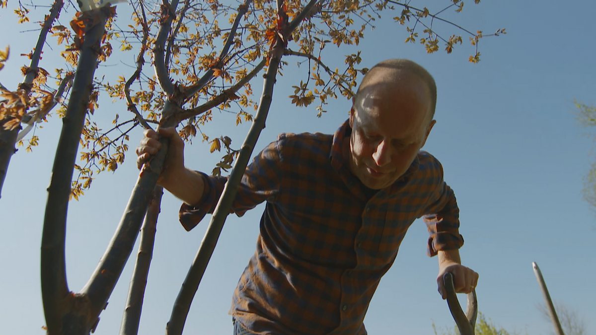 BBC Two - Gardeners' World, 2016, Episode 2, How to plant a tree