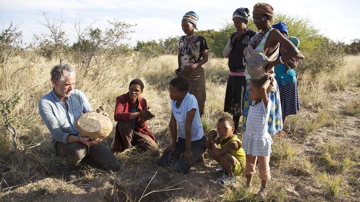 BBC Two - Gordon learning from the Ju/’hoansi Bushmen how to find a ...