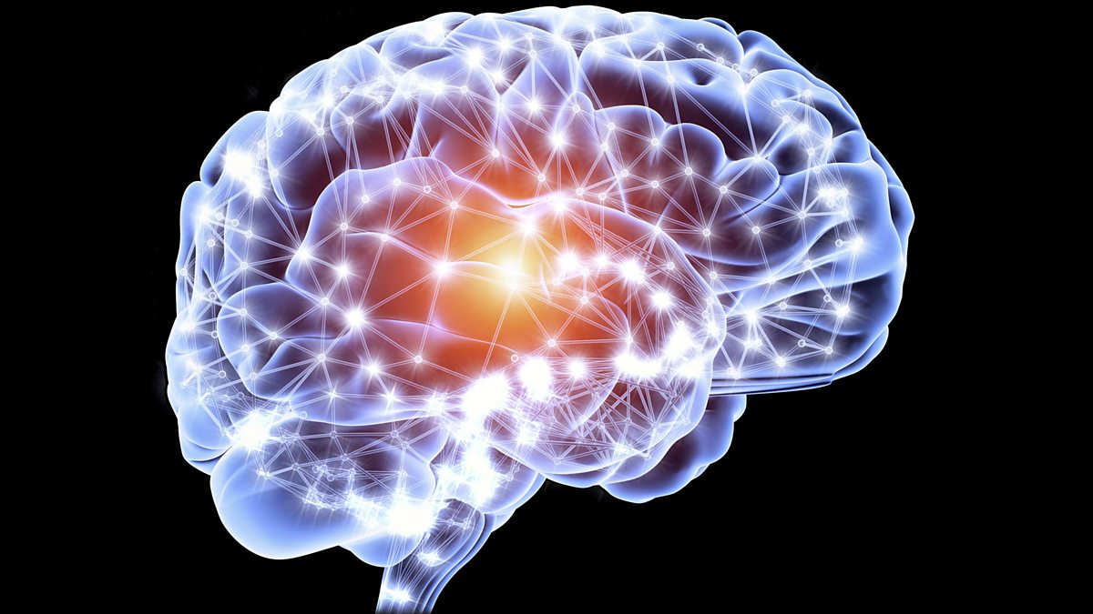 BBC Radio 4 - Brain of Britain - The Brain of Britain Quiz