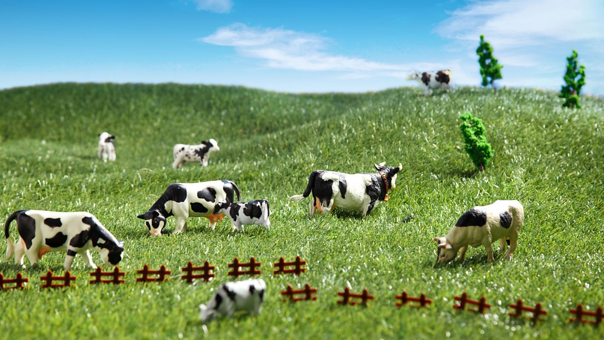 BBC Radio 4 - Radio 4 in Four, Supermarkets are using fake farms on ...