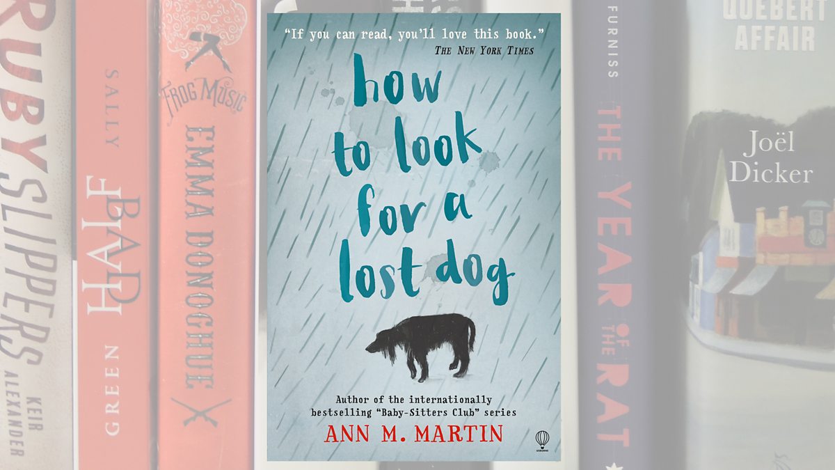 BBC Radio 2 - The Radio 2 Book Club - How To Look For A Lost Dog by Ann ...