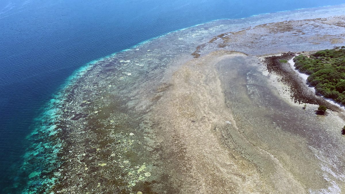BBC World Service - The Newsroom, Great Barrier Reef 'in serious danger'