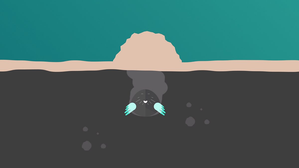BBC - Learning, Who are the superstar diggers of the animal kingdom?