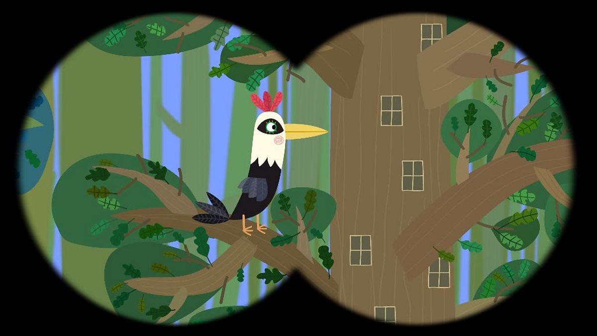 S4C - Ben a Mali a'u byd bach o hud, Cnocell y Coed