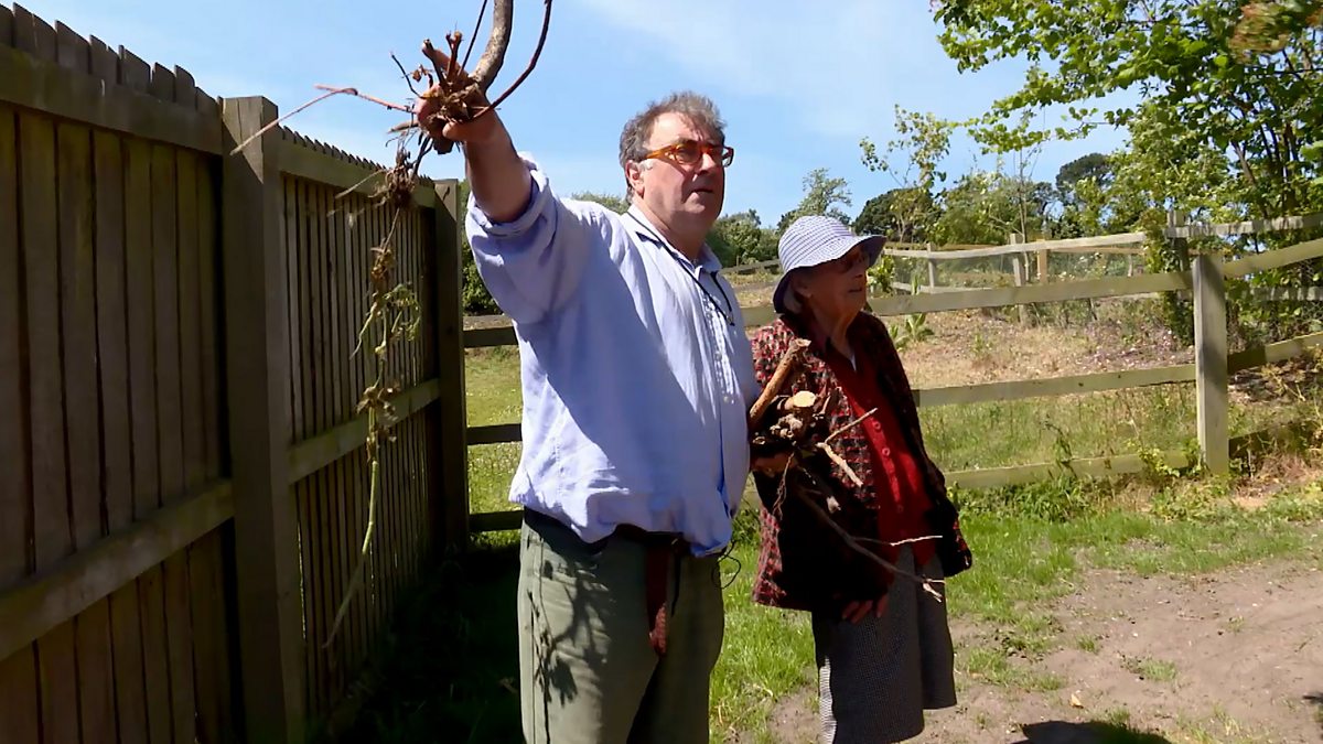 BBC Two - Normal for Norfolk, Series 1, Episode 1, Things don't always ...