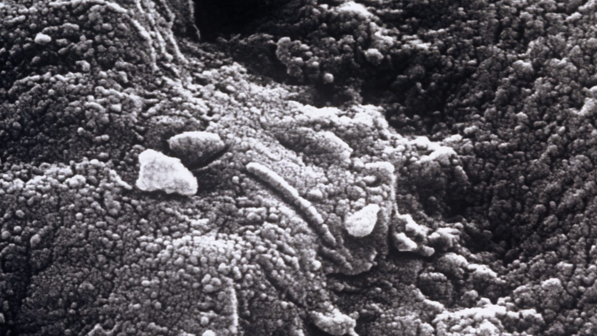 BBC World Service - Discovery, Science Stories: Series 2 - Orgueil ...