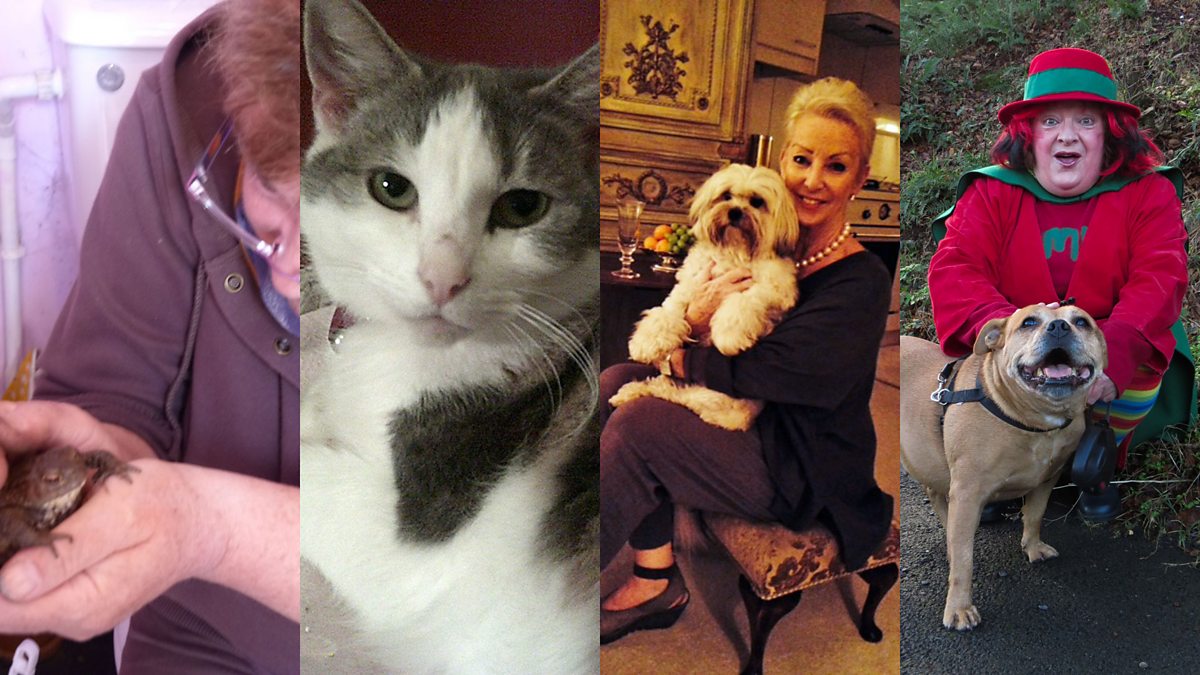 BBC Radio Cymru - Bore Cothi, 22/04/2016