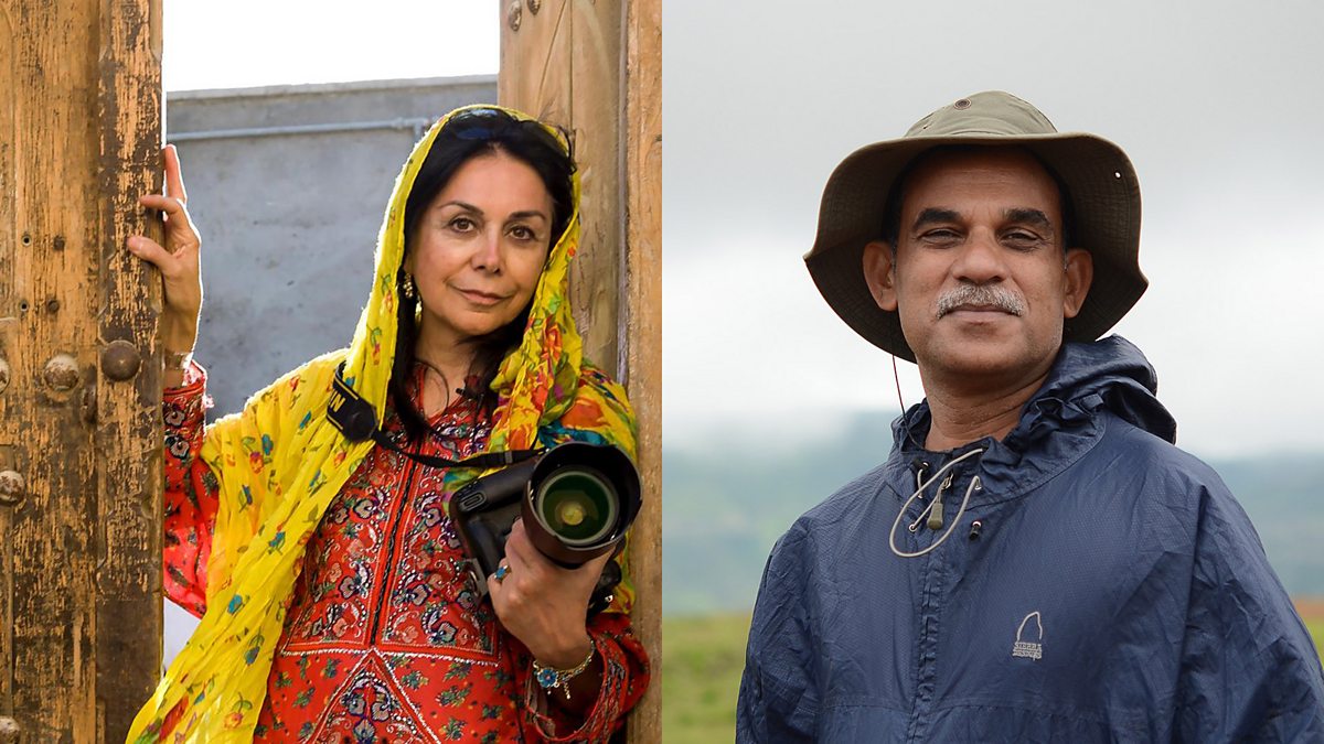 BBC World Service - Outlook, Outlook Weekend: Pick of the Week