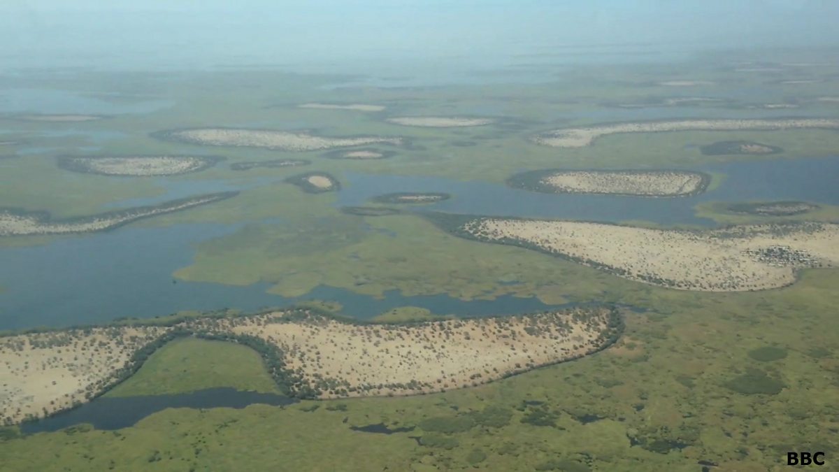 BBC - Can climate change agreements stop the demise of Lake Chad ...