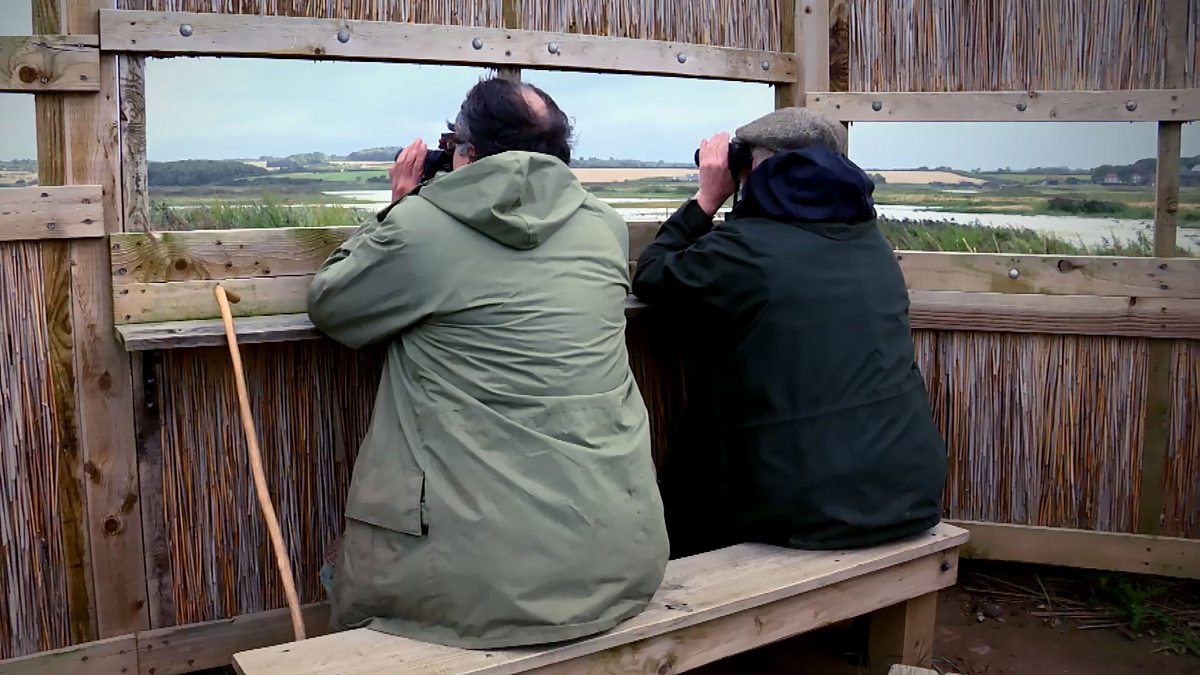 BBC Two - Normal for Norfolk, Series 1, Episode 4, Birdwatching with Willie