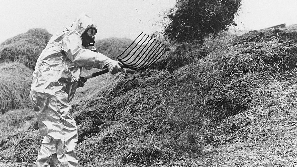 BBC World Service - The History Hour, Remembering Chernobyl