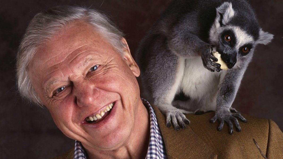 BBC - Sir David Attenborough