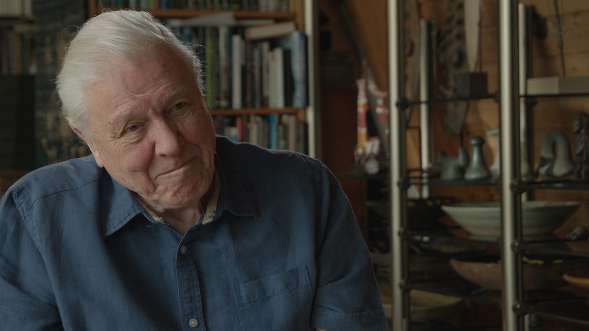 BBC Four - David Attenborough's Zoo Quest in Colour, Web exclusive ...