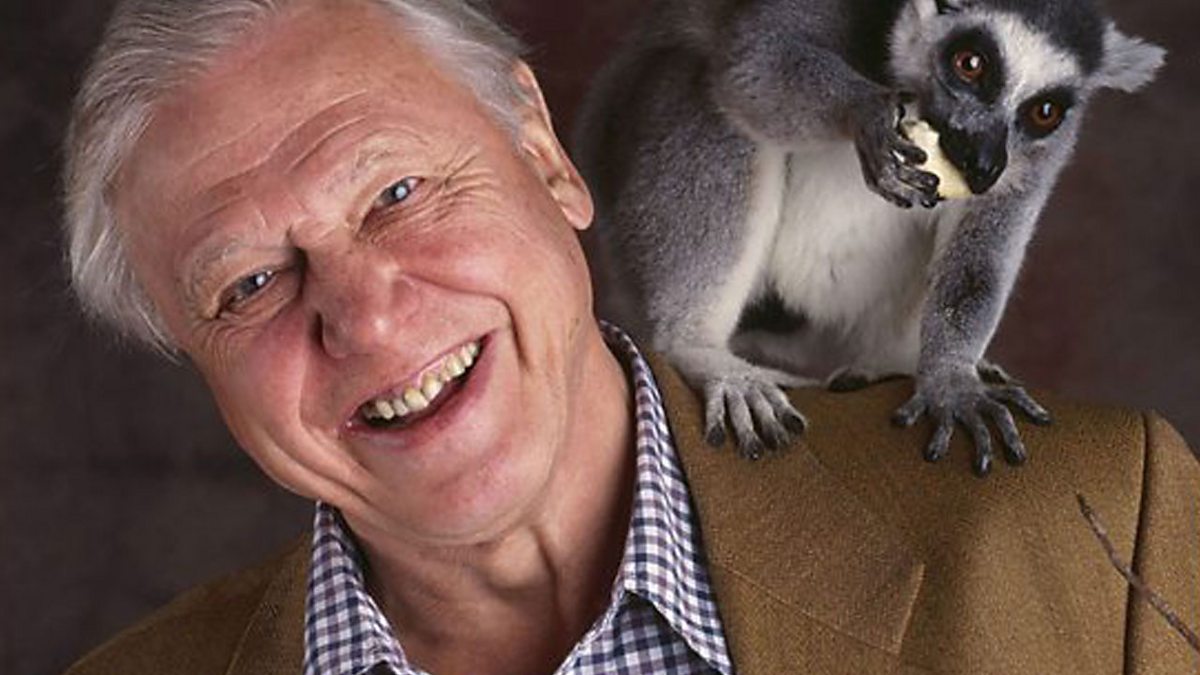 BBC Radio 1 - Radio 1 Breakfast with Greg James, Popstar Parents ...