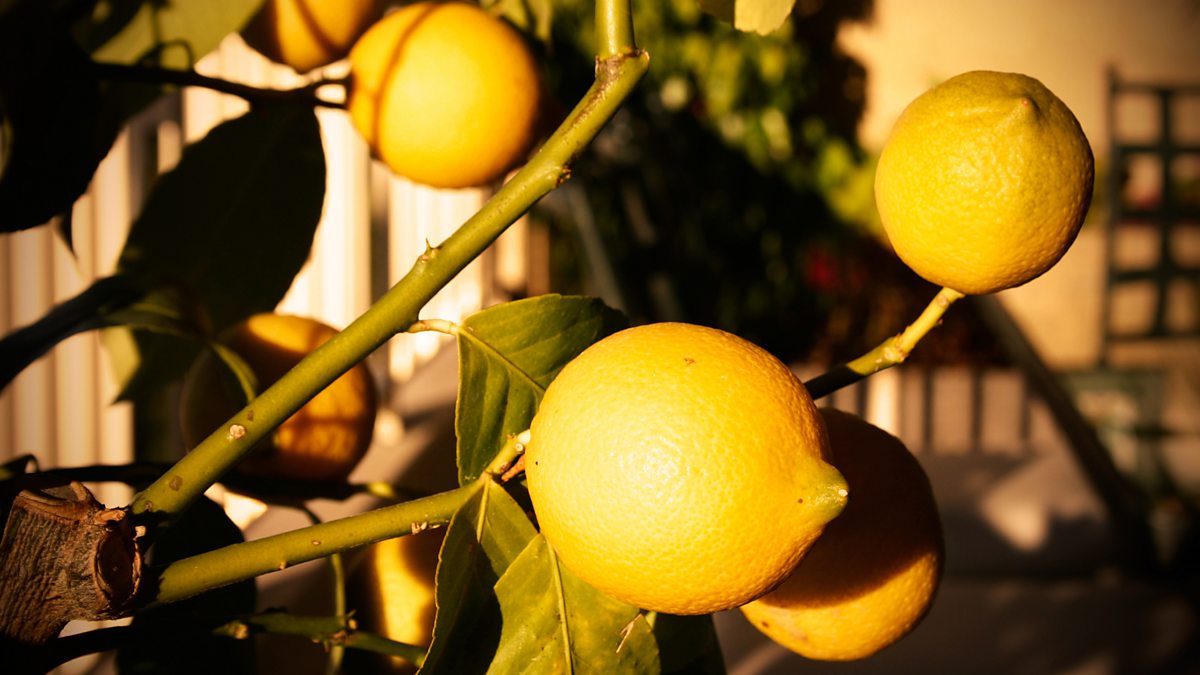 BBC Radio 4 - Armistead Maupin - Tales of the City, Michael Tolliver Lives